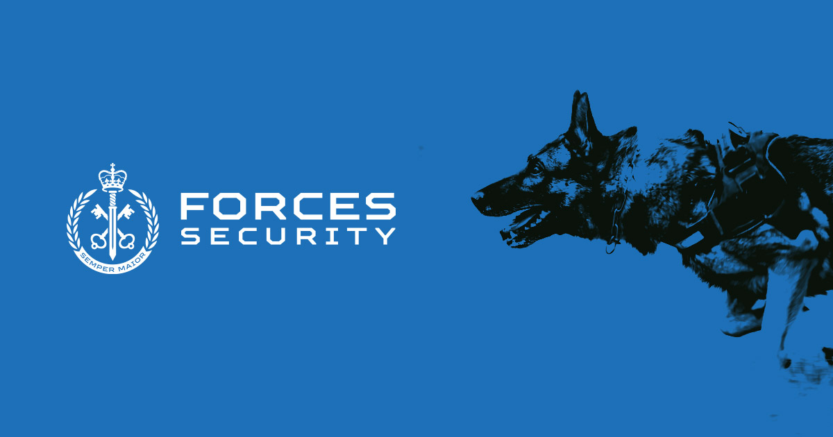 Forces Security | Ex-Forces Personnel Security Based Worldwide